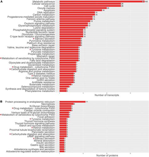 Pathway Enrichment Analysis Of Upregulated Genes Involved In Osteogenic Download Scientific