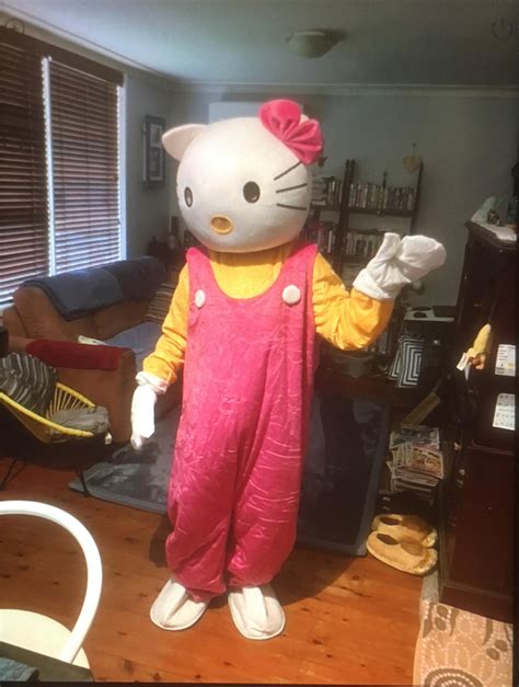 My Hello Kitty Mascot Costume 4 By Ozkygrouchvideo On Deviantart