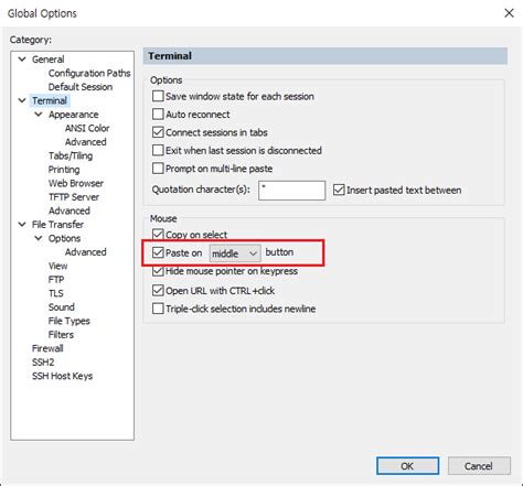 Securecrt 마우스 우클릭 설정 Global Option 분노한 단타 브레이커