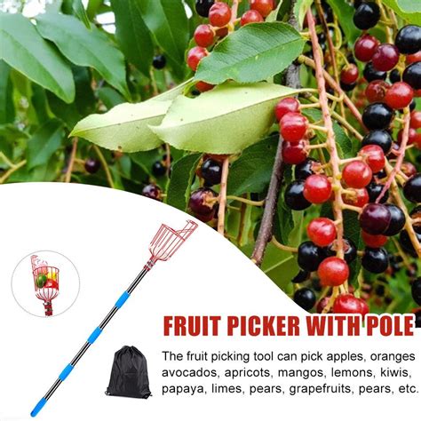 Fruit Picker With Basket And Pole Easy To Assemble Vicedeal