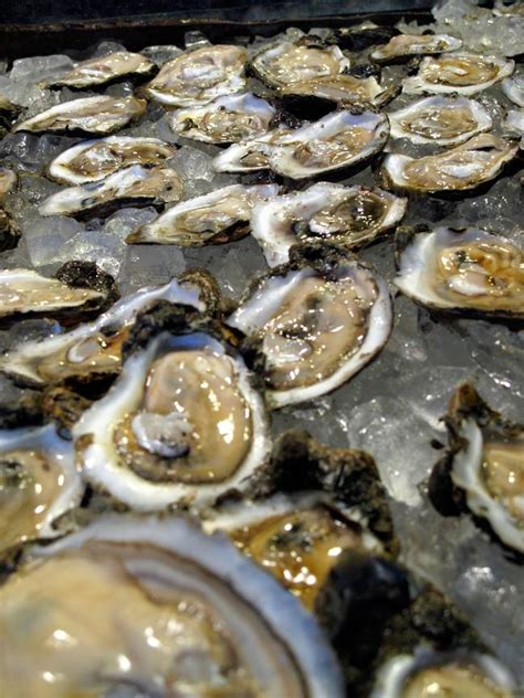Man Dies After Eating Raw Oysters And Contracting Flesh Eating Bacteria