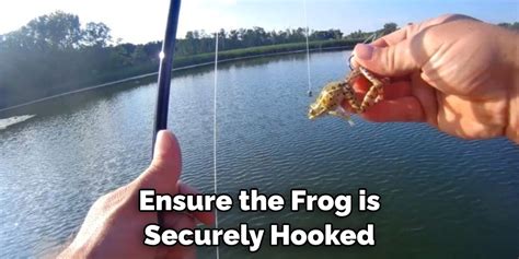 How To Hook A Live Frog 10 Easy Methods 2025