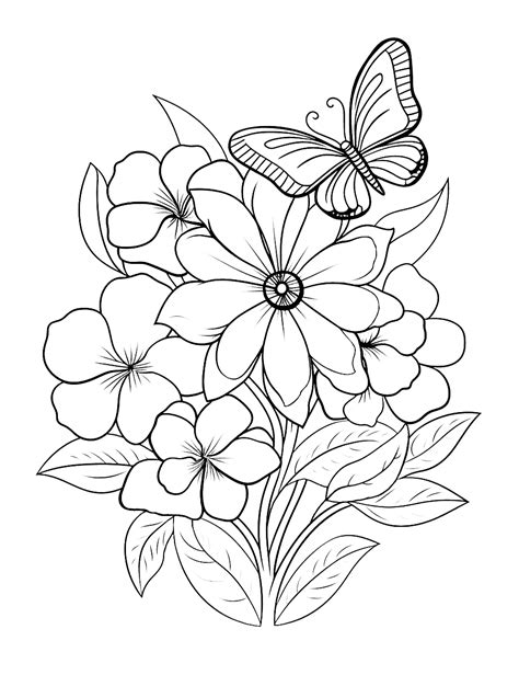 Butterfly And Flower Coloring Pages