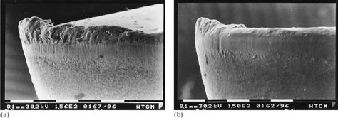 Morphology Different Conditions A Untreated B Pcvd Combined