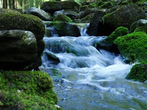 Auto Pédestre Trail Manternach Visit Moselle