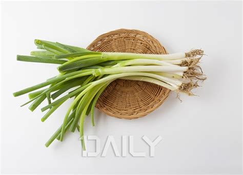 데일리 혈관 청소해주고 잠도 잘 자게 해주는 채소 푸드 채소 파 대파 파종류 대파맛 쪽파 피효능 대파효능 파기름 혈관청소