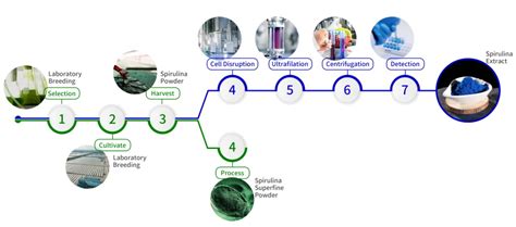 Blue Spirulina Platensis Extract And Phycocyanin Powder｜binmei