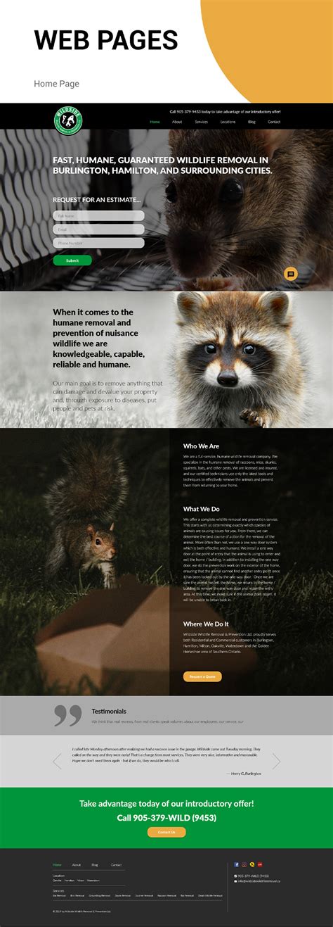 wildside front end web design on behance