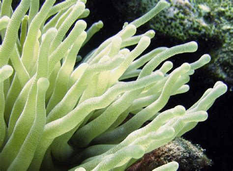 Current Vacancies Unep Wcmc