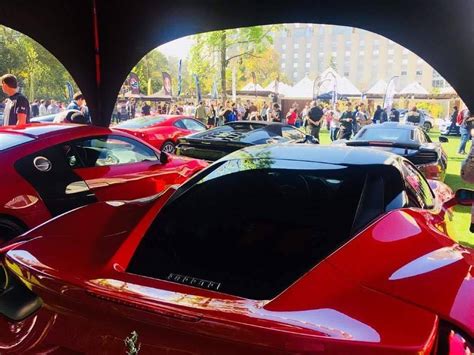 Not Normal Chile Mini Not Normal Chile Mini Cooper