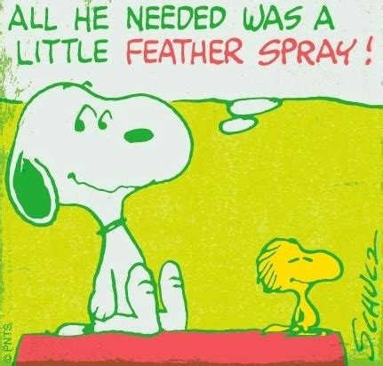 Woodstock Peanuts Quotes Quotesgram