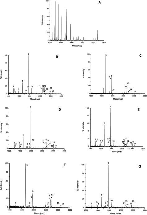 Maldi Tof Mass Spectra Of Tryptic Digest Of A Casein Obtained A By Download Scientific