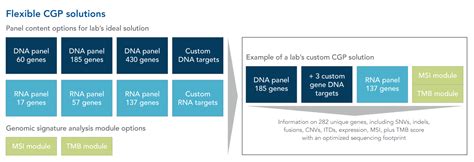 Understanding Comprehensive Genomic Profiling Idt