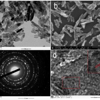 A TEM B SEM C SAED D HRTEM Images Of The R TiO Download Scientific Diagram