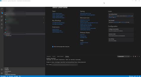 Interface Buggy · Issue 122925 · Microsoft Vscode · Github
