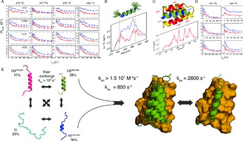 Multinuclear Cpmg Relaxation Dispersion Maps The Molecular Recognition