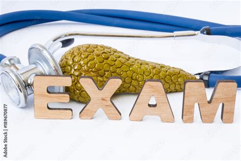 Pancreas Gland Examination Tests And Diagnostics Procedure Diagnosis