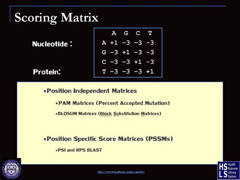 Sequence Similarity Searching 19th September Ppt Download
