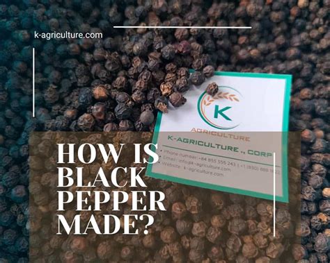The Science Behind The Aroma And Flavor Of Black Pepper Arjf