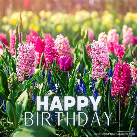 Happy Birthday Flower Garden Images Wishing Pond Images