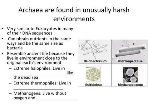 Ppt Prokaryotes Powerpoint Presentation Free Download Id2028298