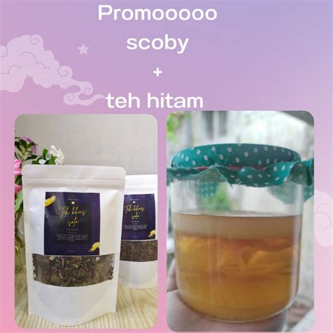 Jual Promo Bibit Kombucha Jamur Scoby Scoby Terbaik Teh Shopee
