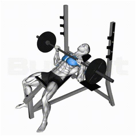 Barbell Incline Bench Press  At Stormy Shumate Blog