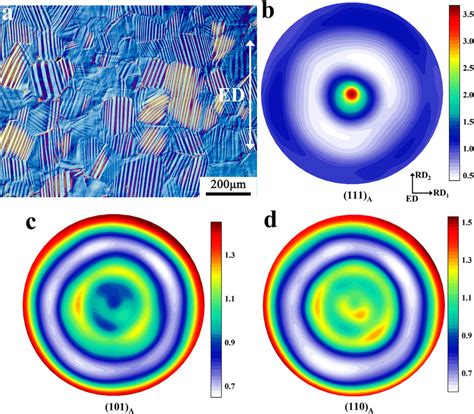A The Microstructure Obtained By Optical Micrograph B D 111 A