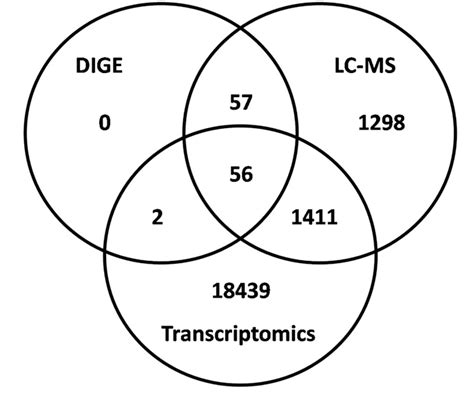 Figure 1 From A Practical Data Processing Workflow For Multi Omics Projects Semantic Scholar