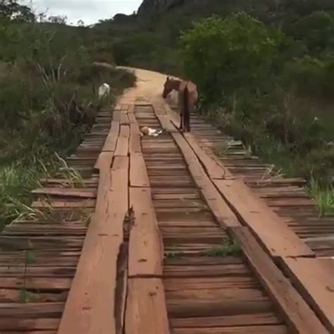 Alexander Matveev Posted On Linkedin