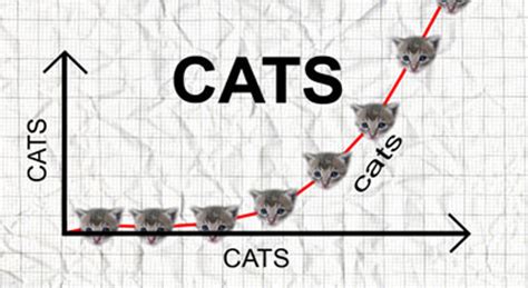 Unmarked Door According To This Graph Cats