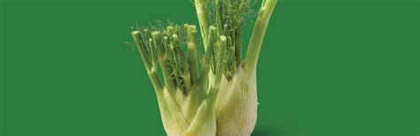 Stalk Talk Spring Vegetable Stars Ralphs