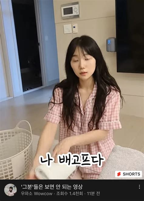 우영우 패러디 논란 유튜버 오늘자 영상제목 유머 움짤 이슈 에펨코리아