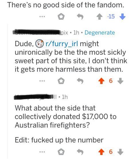 Blush Irl R Furry Irl