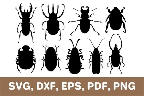 Bug Svg Beetle Svg Bugs Svg Beetles Svg Bug Dxf Cricut