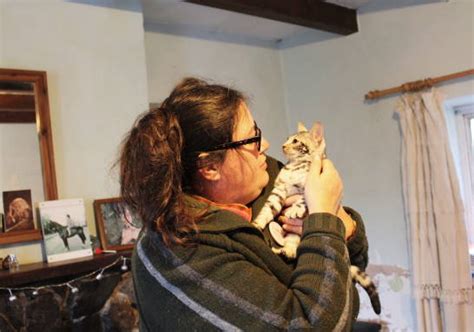 Silverstorm Bengalsauthor Illustrator And Artist Jackie Morris