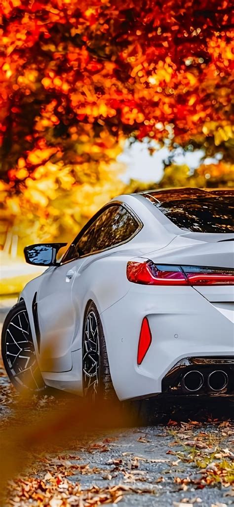 13 Ideas De Carros Exoticos Coches Deportivos Auto De Lujo Coches Deportivos De Lujo
