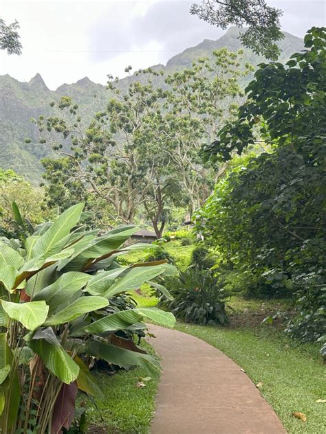 Hoomaluhia Botanic Gardens Mauka To Makai