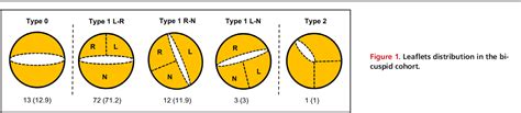 Figure 1 From Bicuspid Aortic Valve Anatomy And Relationship With Devices The Bavard