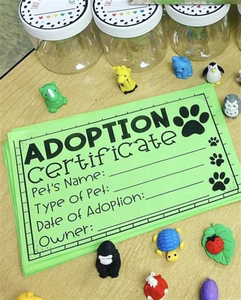 Desk Pets Why To Add Them To Your Class This Year Classroom Pets
