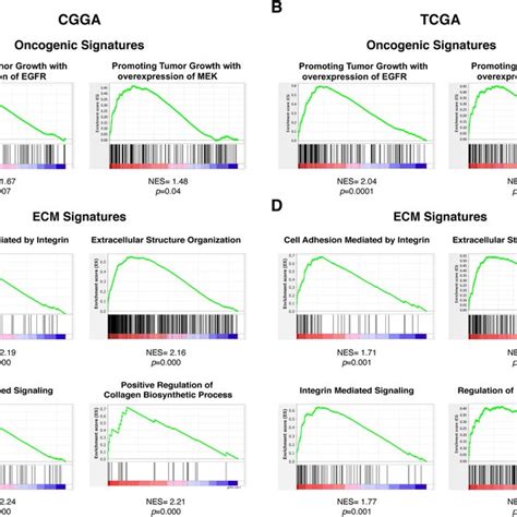Analysis Of Genetics Of Piezo1 Expression Through Rna Seq Ab Gene