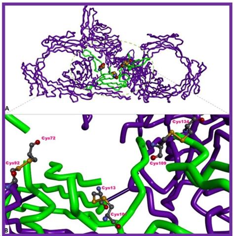 3d Structure Of Human Siga Dpb Id 6ue7 And Its Targeted Region In Download Scientific