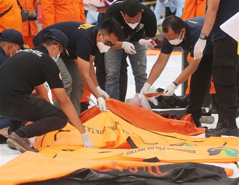 Tim Dvi Terima 53 Sampel Dna Keluarga Korban Sriwijaya Air Sj 182