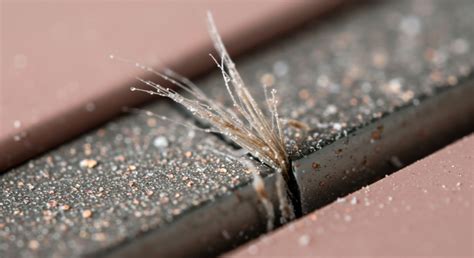 Multi Level Perspective → Term