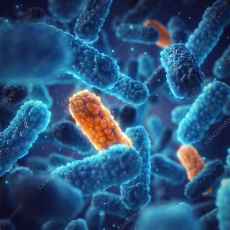 Antimicrobial Resistance Conceptual Illustration Stock Image F036