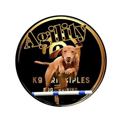 Beginner Agility 5 Pm