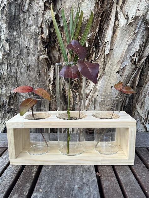 Test Tube Propagation Bottles And Base — Nursery 2 U