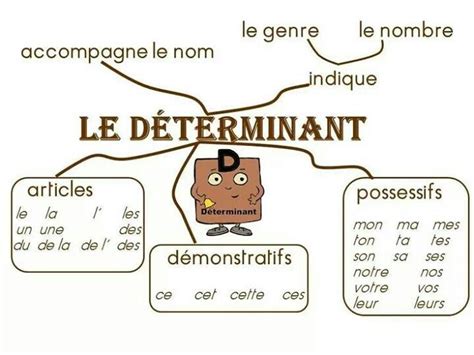 C Quoi Un Determinant