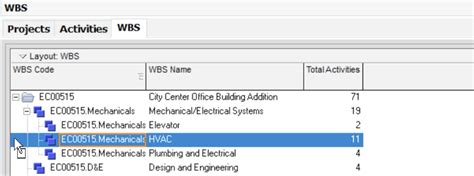 Video How To Modify The WBS In Primavera P Ten Six