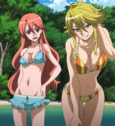 Obraz 067f9052f01830774129d0bc97bae120 Akame Ga Kill Wiki